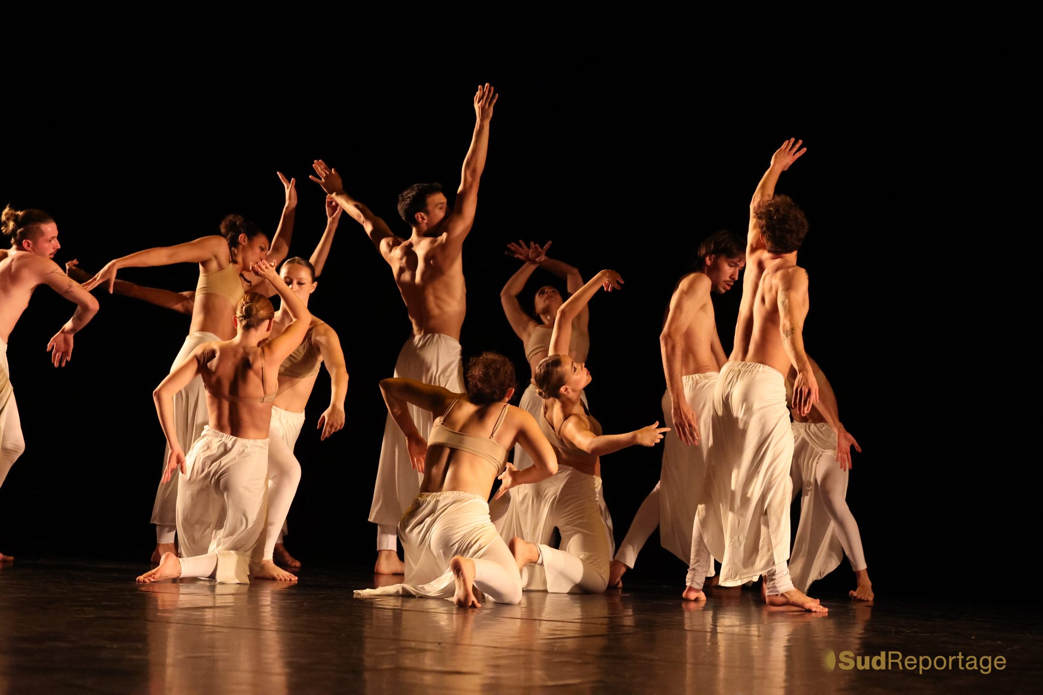 École de danse professionnelle à Montpellier - EPSEDANSE